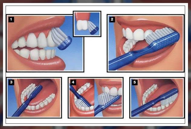 Teeth Brushing Techniques : What To Know - REPC
