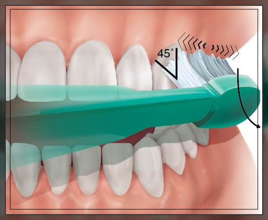 Teeth Brushing Techniques : What To Know - REPC