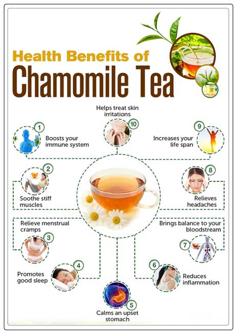Chamomile Tea Benefits For Your Health Repc
